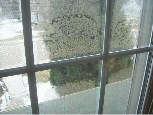 Insulated Units 101: Distinguishing Between Condensation and Seal ...